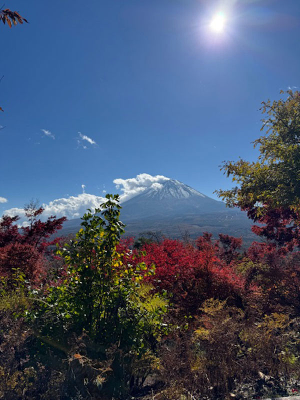 Voyage au Japon - Avis de Chloé GD | Le Voyage Autrement
