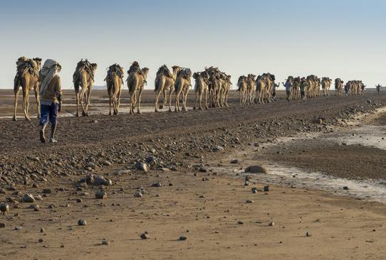 Guide de Voyage de l' Ethiopie - Danakil | Le Voyage Autrement