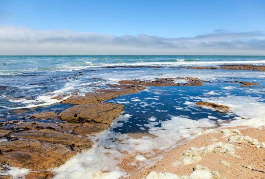 Guide de Voyage de Namibie - Cape Cross Seal Reserve | Le Voyage Autrement