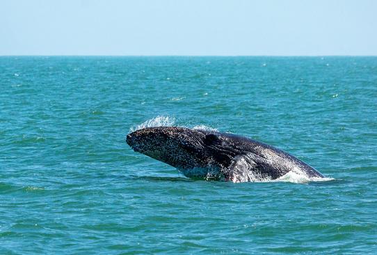 Guide de Voyage de Namibie - Walvis Bay | Le Voyage Autrement
